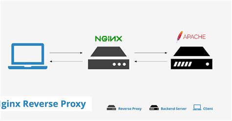 Nginx 리버스 프록시 설정하기