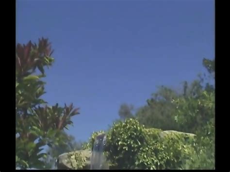 Indigo Delta Eporner