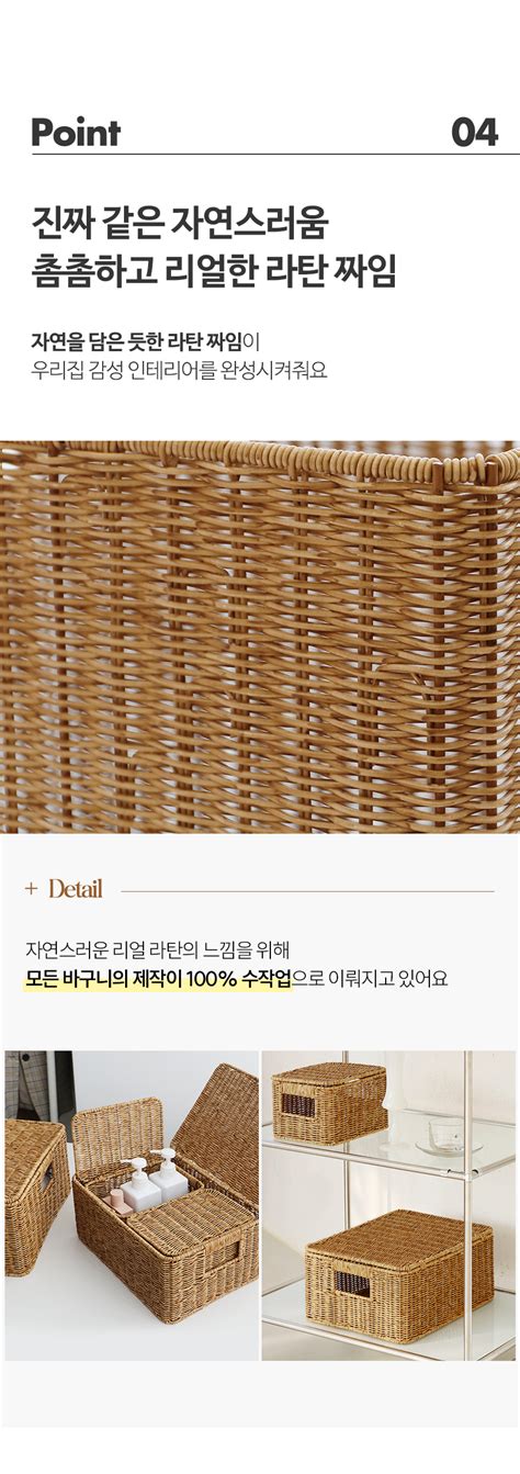라탄바스켓 데이지가든 내츄럴 Pp 라탄 바구니뚜껑형 4종 오늘의집 쇼핑