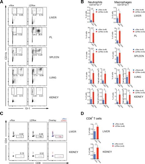 Ly 6gly 6c Antibody Fitc 11 5931 82