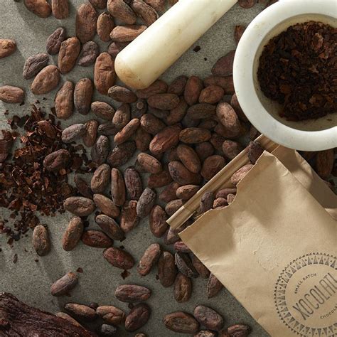 Raw Organic Cacao Beans Cacao Beans Cacao Raw Organic