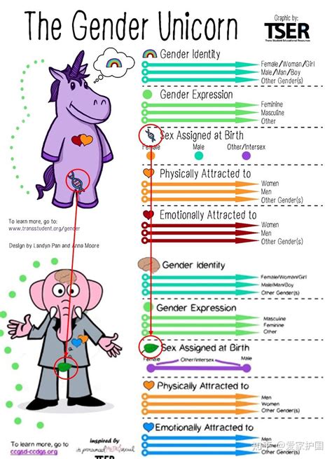 【转载】跨性别活跃分子： “性别独角兽”是过去时，现在是“性别大象”的时代 知乎