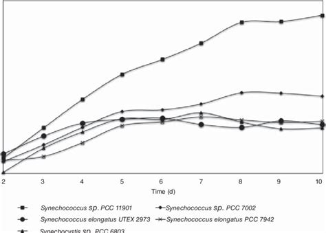 4 Comparison Of Biomass Accumulation Under Optimal Growth Conditions Download Scientific