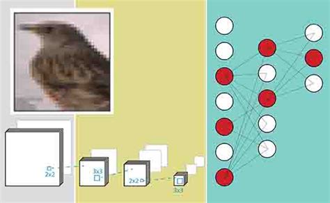 Programming Robotics Ai Data Science Think Create Learn