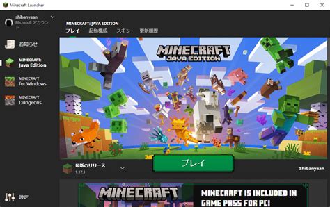 Minecraft Java Editionの設定 第 回 クライアント編 俺の外付けHDD