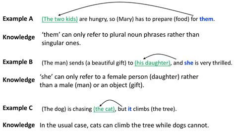 incorporating context and external knowledge for pronoun coreference
