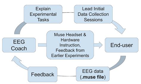 Data Collection Flow Chart User And Coach Download Scientific Diagram