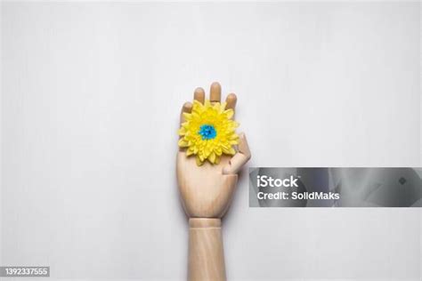 파란 심장을 가진 노란 꽃이 나무 손에 달려 있습니다 우크라이나의 국기의 색상 밝은 배경 개념에 대한 스톡 사진 및 기타 이미지 Istock