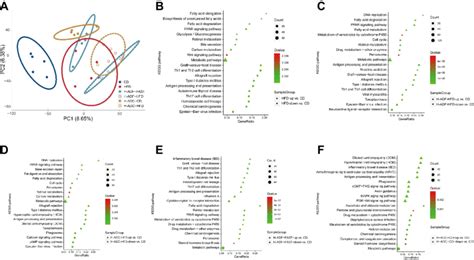rna seq data analysis a pca score plot of the gene expression data download scientific