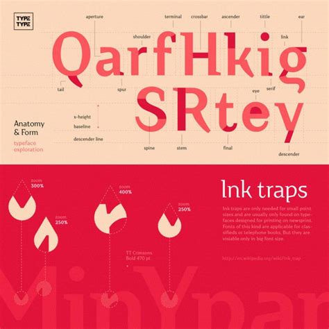 55 Modern Incredible Script Typefaces Graphic Design Bundle Deals Graphicloot