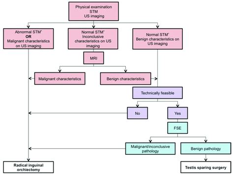Our Proposed Algorithm For The Surgical Approach In Prepubertal