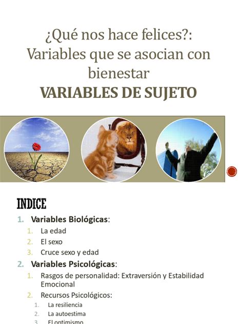 Tema 5 Variables De Sujeto Pdf