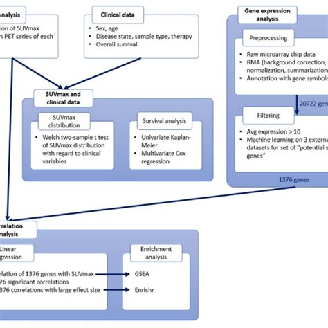 Workflow Scheme Overview Of Analysis Steps Positron Emission Download Scientific Diagram