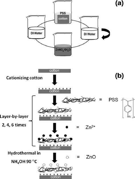 A Schematic Representation Of The Lbl Technique And B Se Quence Of Download Scientific