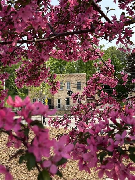 Bee Hive Barn And Grill Added A New Bee Hive Barn And Grill