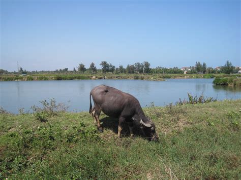 Img 1960 Bodo Ellmers Flickr