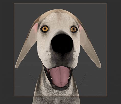 Solved Camera Not Rendering To Camera View Lighting And Rendering