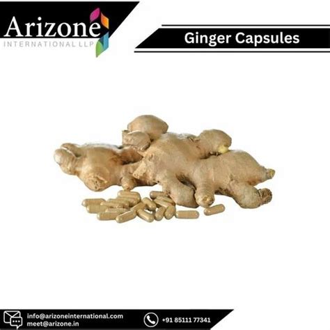 Ginger Capsules Zingiber Officinale At Rs 300bottle Nutraceuticals