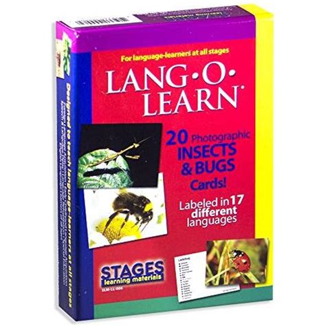 STAGES LEARNING Fasi Di Apprendimento Lang O Learn Esl Insects Bugs Vocabulary Photo Flash