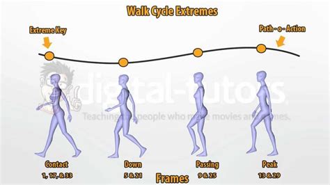 Ways To Make Walk Cycle In Animation A Brief Discussion Ways To Make Walk Cycle In Animation A Brief Discussion