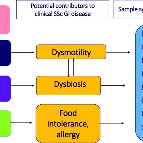 The Complexity Of Scleroderma Associated Gastrointestinal Disease Download Scientific Diagram
