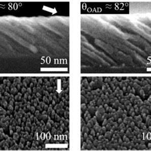 Side View And Corresponding Top View SEM Images Of Tilted TiO Download Scientific Diagram