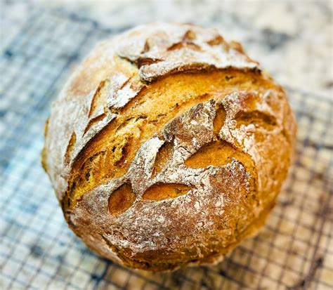 Welcome To Sourdough And More Sourdough And Mor