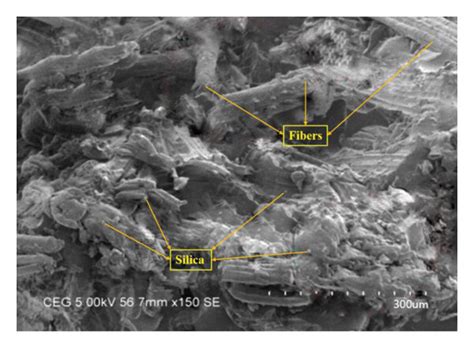 A Microstructure Of The Composite Samples For Fibre 15 Wt With 5 Mm Download Scientific