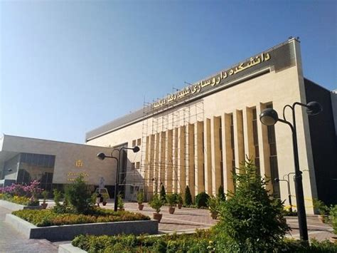 ۱۳ دانشمند یک درصد برتر جهان از دانشکده داروسازی مشهد هستند ایسنا