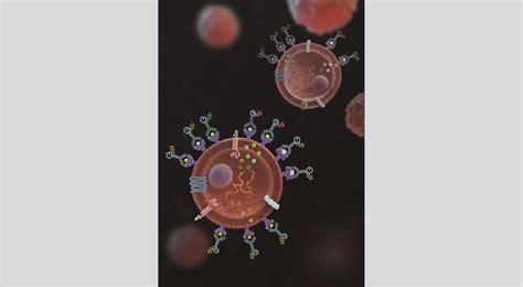 Powerful Tool Gathers Immune Response Data At Single Cell Level College Of Design And Engineering