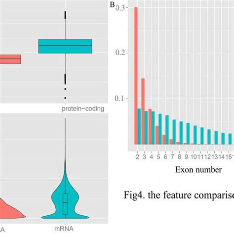 Feature Comparisons Among Lncrna And Mrna Transcripts A Length B Download Scientific