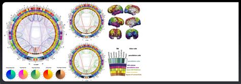 Download Circos Circular Genome Data Visualization