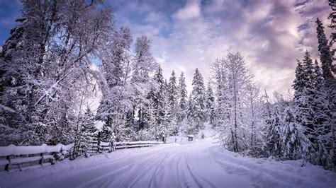1100 Winter Wallpapers