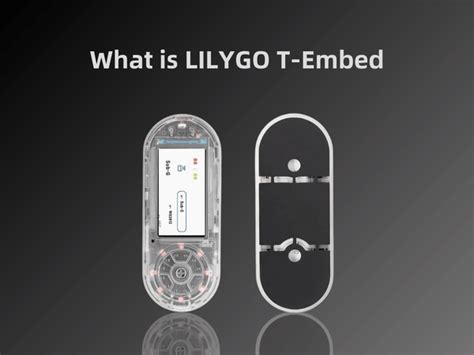 What Is Lilygo T Embed