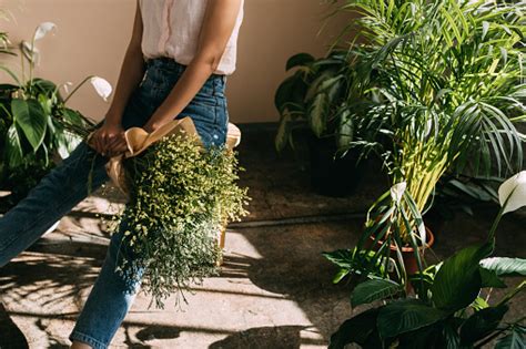 식물과 허브로 둘러싸인 그녀의 작업장에 앉아 인식 할 수없는 여성 플로리스트 30 34세에 대한 스톡 사진 및 기타 이미지 Istock