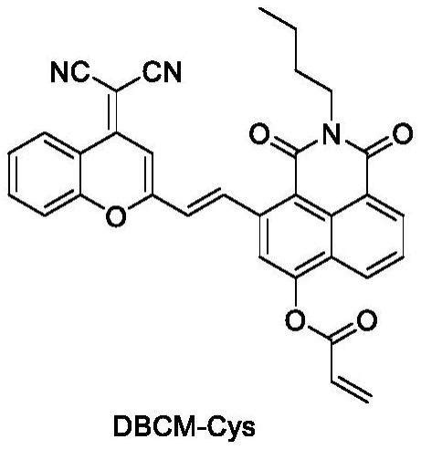 一种用于检测半胱氨酸的近红外荧光分子探针及其制备方法和试剂盒与流程