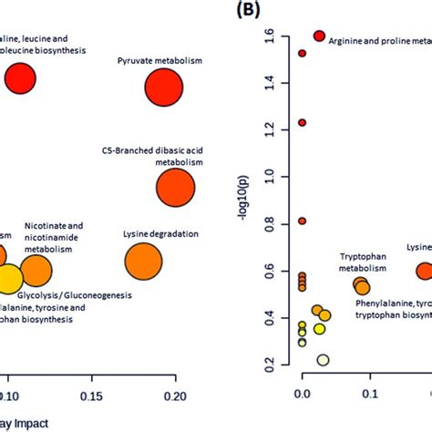 Pathway Analysis Plot Of Metabolic Pathways Affected In Response To Download Scientific Diagram