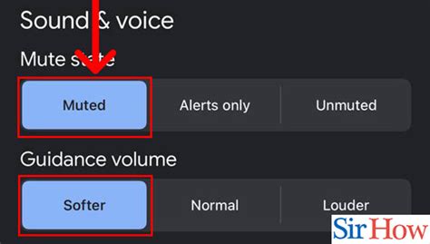 How To Adjust Volume On Google Maps On IPhone Steps With Pictures