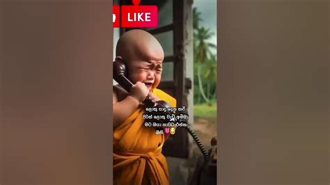ලොකු සාදු දෙන කවී පිරිත් ලොකු වැඩි අමිමා මට ඔයා ගාවට එන්න ඔනි 💗🥺
