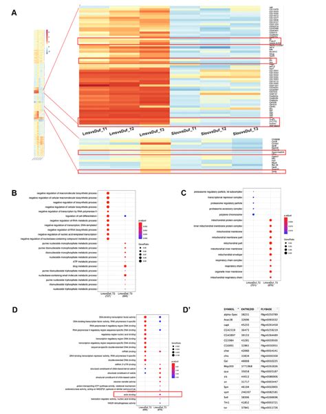 clustering and go analysis of the lms subset versus the duf population