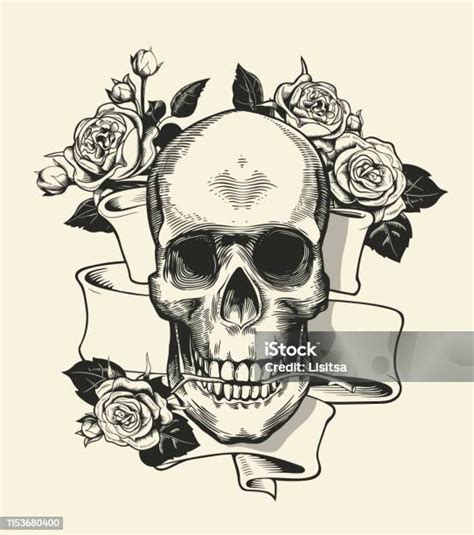 장미와 인간의 두개골은 배경에 턱과 리본을 잡아 죽음과 악의 상징 라벨 배너 문신 T 셔츠 인쇄에 대 한 복고풍 에칭 또는 목 판화 스타일의 흑백 벡터 일러스트 리본에 대한