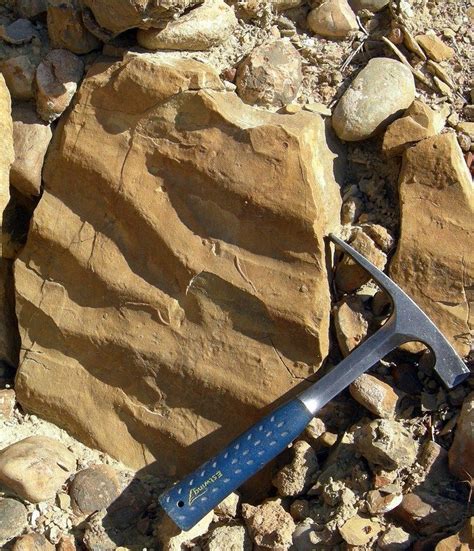 Sedimentary Structures Alchetron The Free Social Encyclopedia
