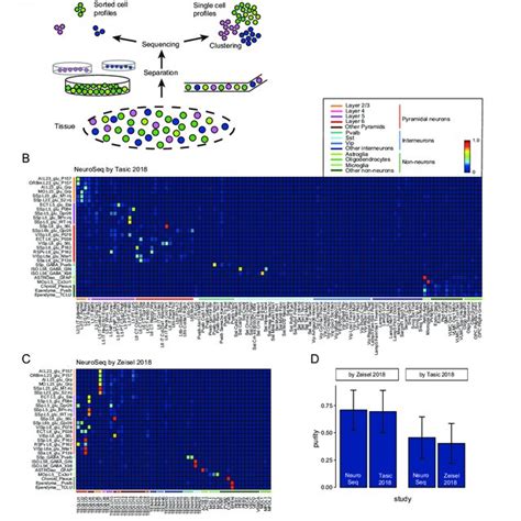 Decomposition By Non Negative Least Squares Nnls Tting A Diagram