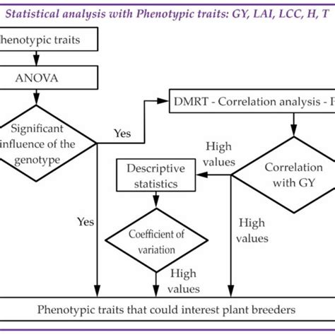 Workflow Diagram Of The Statistical Analysis For Phenotypic Variation