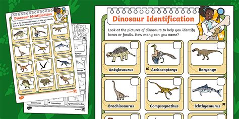 Dinosaur Identification Worksheet