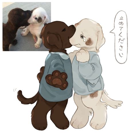 Wacuwacu ˶ˆᗜˆ˵ Peachykai Profile Pinterest