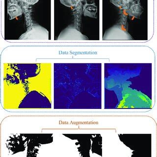 Data Processing Under Different Data Processing Methods Download Scientific Diagram