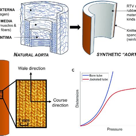 Overall Design Concepts A Schematic Showing The Initial Biomimetic