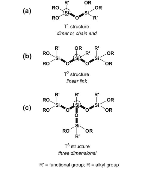 Schematic Presentation Of T I Silane Structures 72 Download