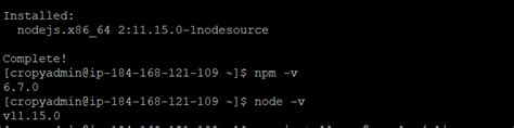 Nodejs Running Nodejs On Gen4 Vps Linux 4 Cpu With Whm And Cpanel